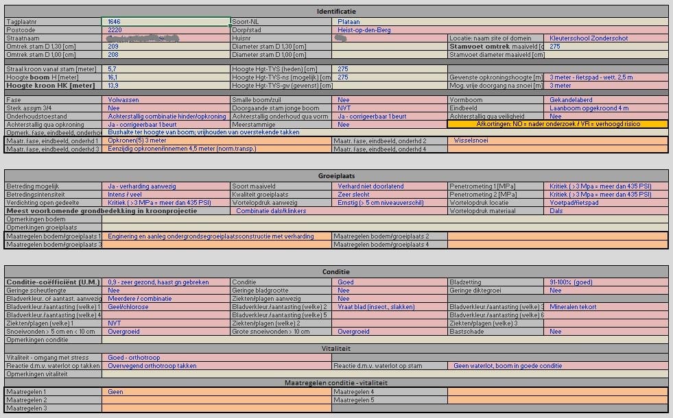 Tree safety inspection: how do you keep tree risks acceptable?